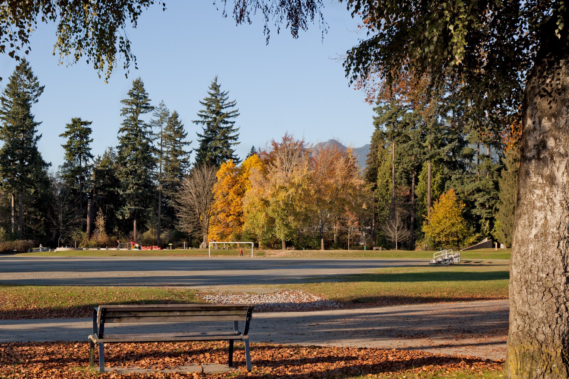 Mahon Park | Central Lonsdale