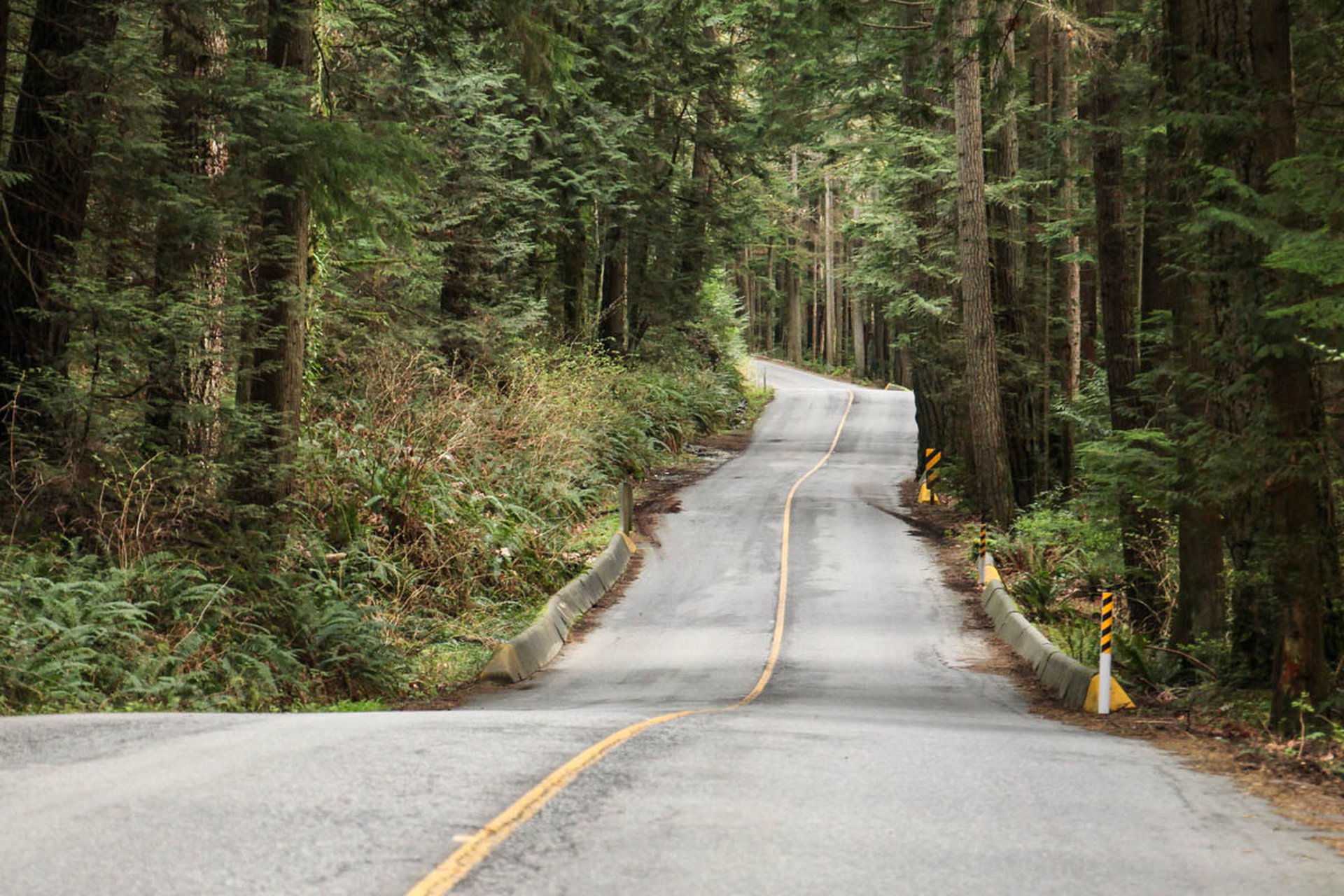 Indian River Drive - Photo